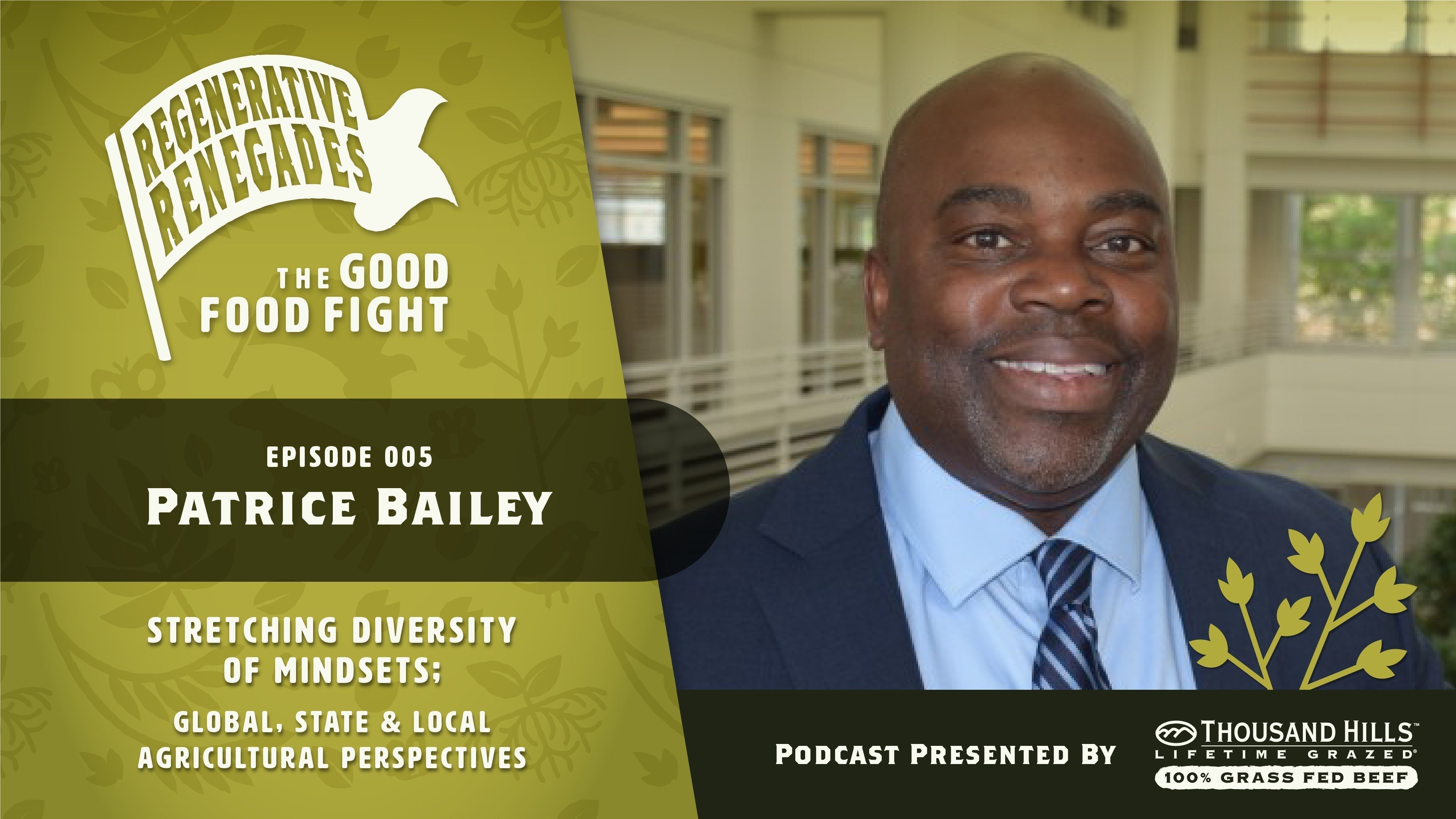 Patrice Bailey: Stretching Diversity of Mindsets; Global, State and Lo ...